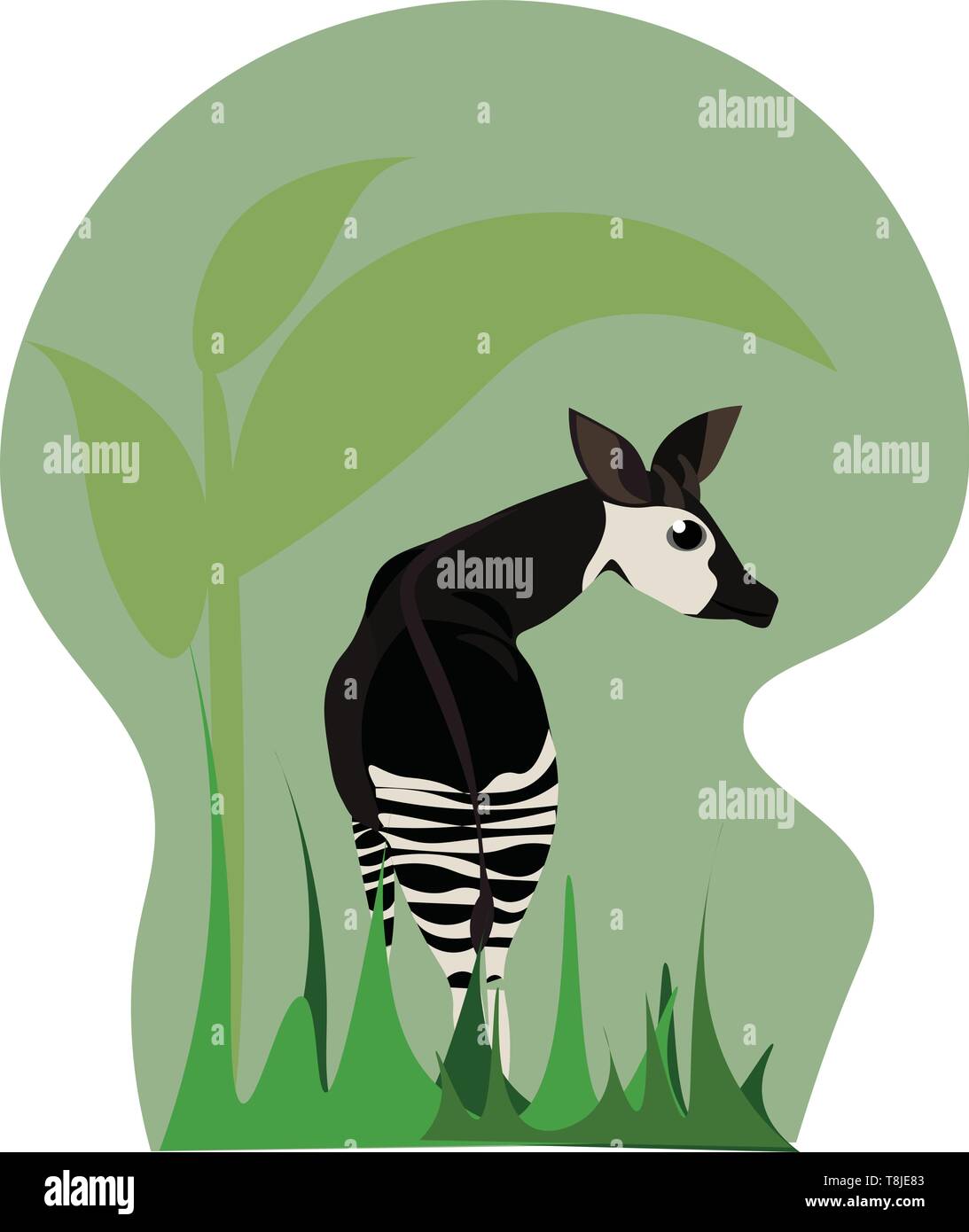 A okapi is Animal which has stripe marking on their legs, vector, color ...