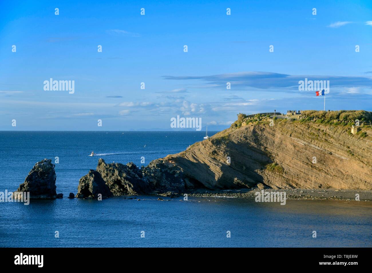 Cape dagde hi-res stock photography and images - Alamy