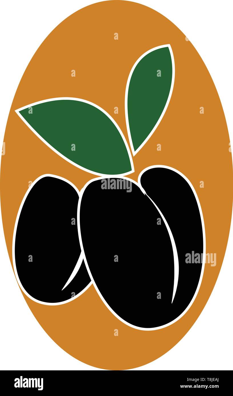 Two black olives with green leaves, vector, color drawing or ...