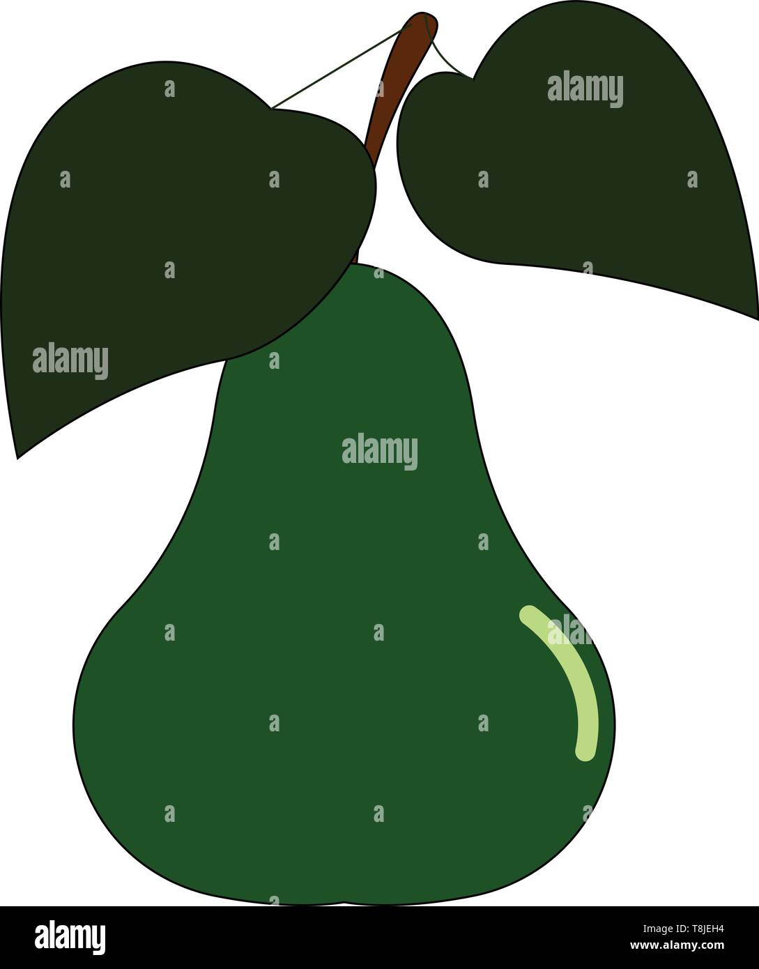 Green colored pear with two big leaves healthy and juicy fruit, vector ...
