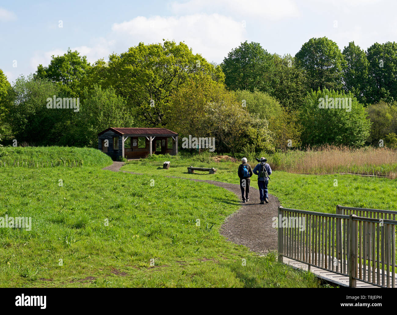 Potteric carr nature reserve hi-res stock photography and images - Alamy
