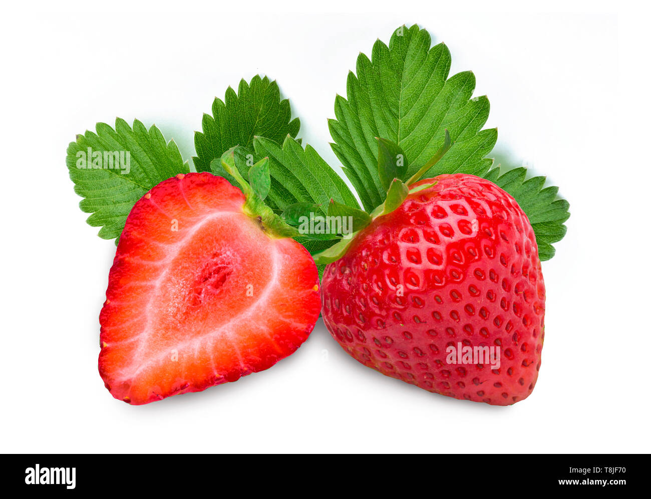 Two strawberry leaves isolated on white background, top view Stock ...