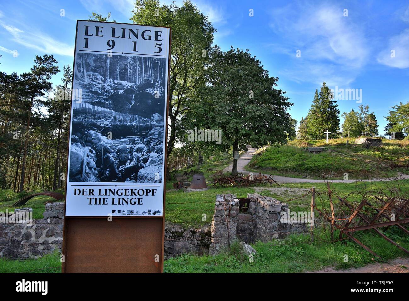 France, Haut Rhin, Vosges Massif, Collet du Linge, entrance to the ...
