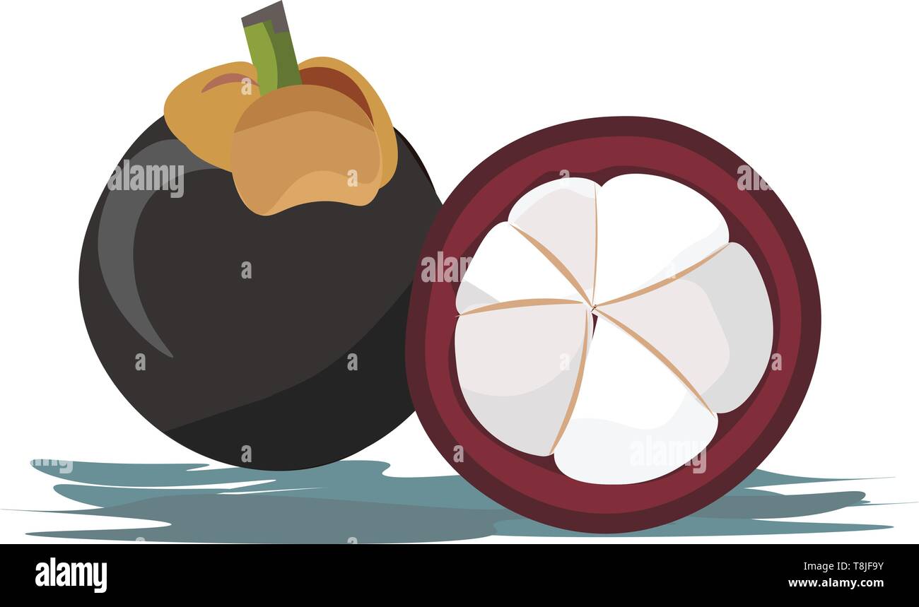 Fruit rind Stock Vector Images - Alamy