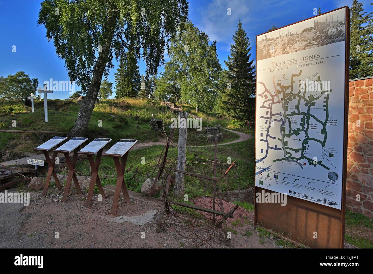 France, Haut Rhin, Vosges Massif, Collet du Linge, entrance to the ...