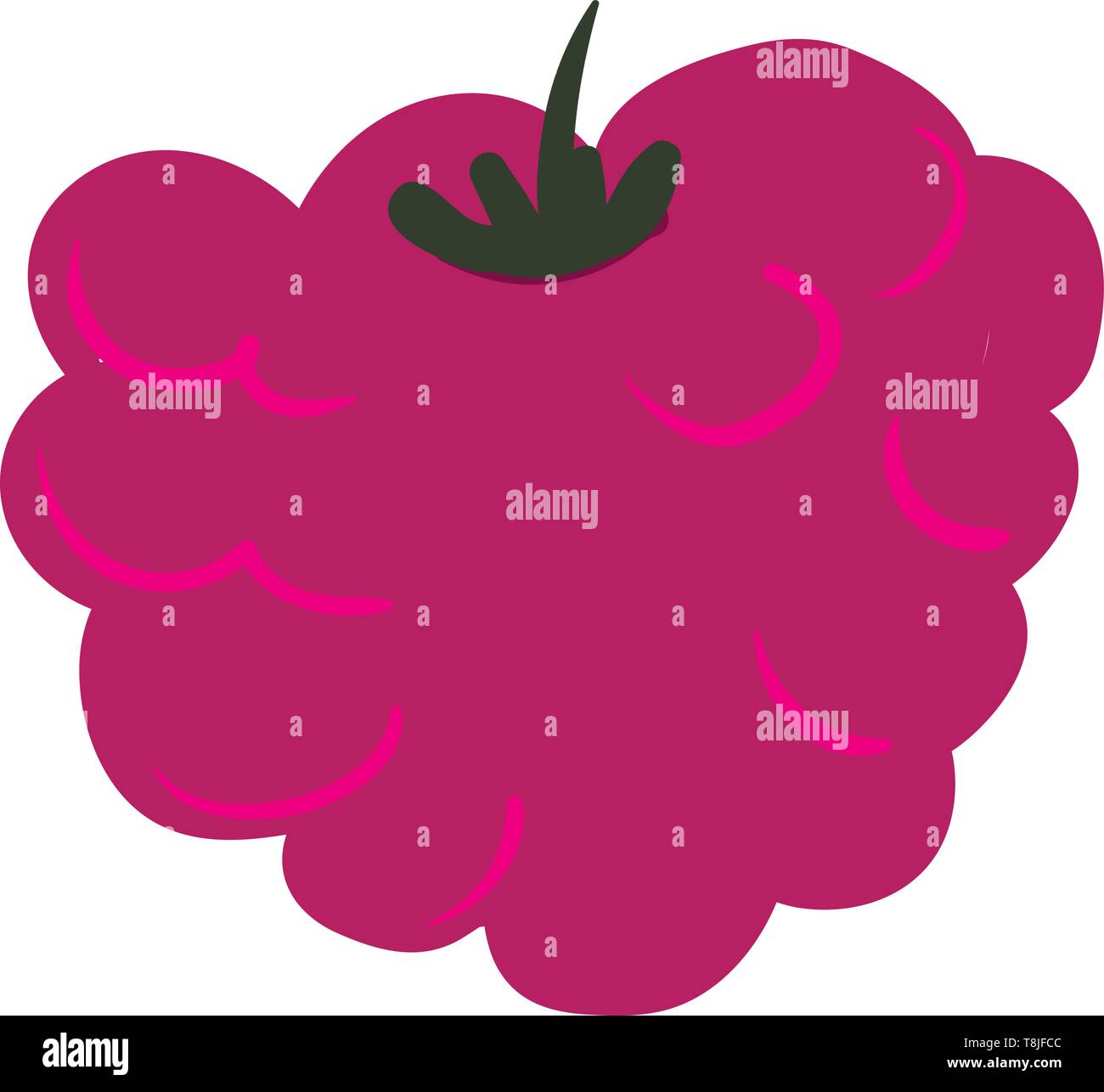 Pink colored raspberries with black colored stem, vector, color drawing ...