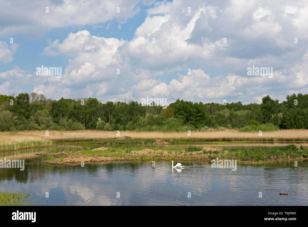 Potteric Carr, a Yorkshire Wildlife Trust nature reserve, near ...
