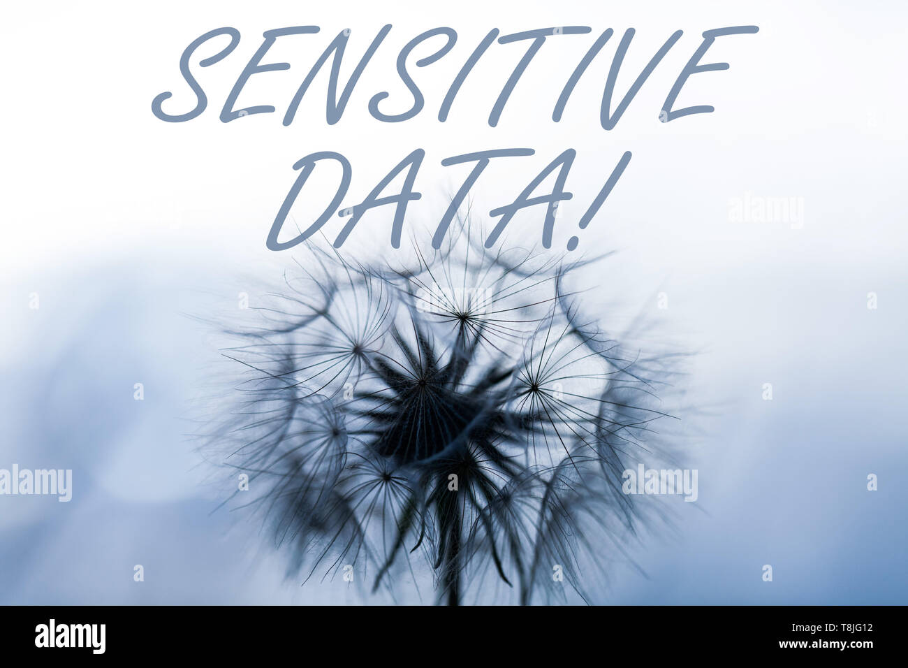 Word writing text Sensitive Data. Business photo showcasing information ...