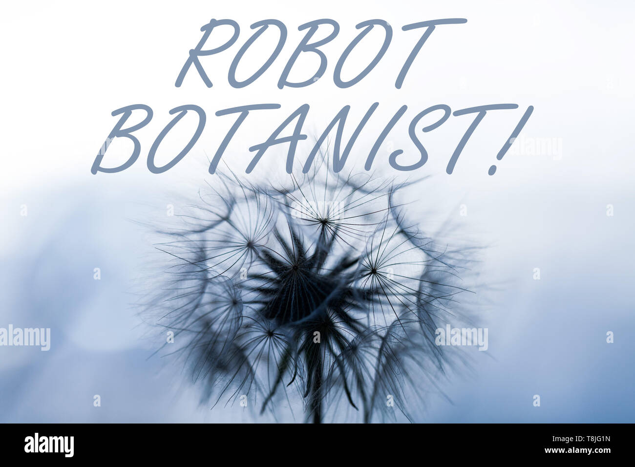 Word writing text Robot Botanist. Business photo showcasing Methods for ...