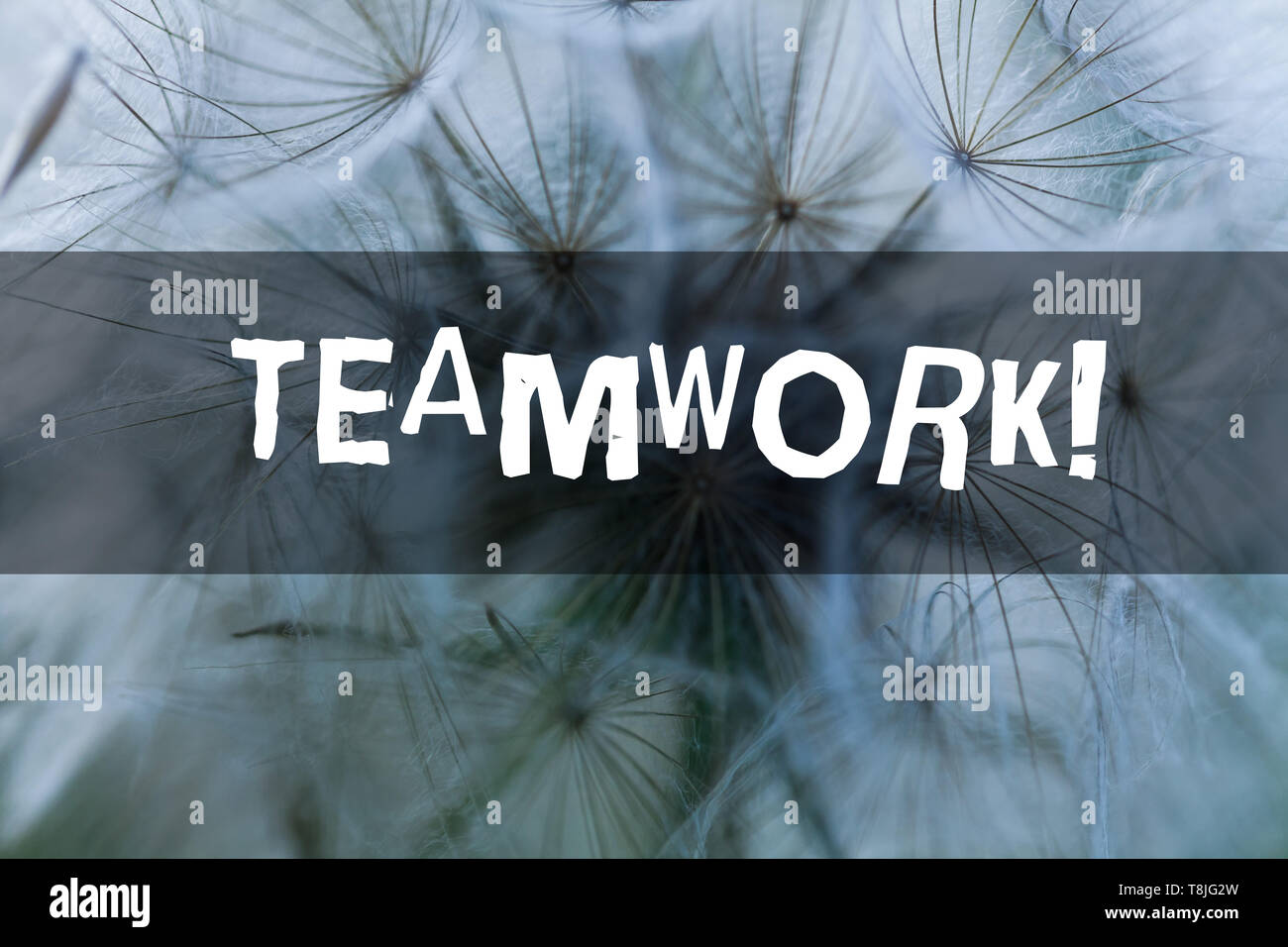 Writing note showing Teamwork. Business concept for combined action of ...