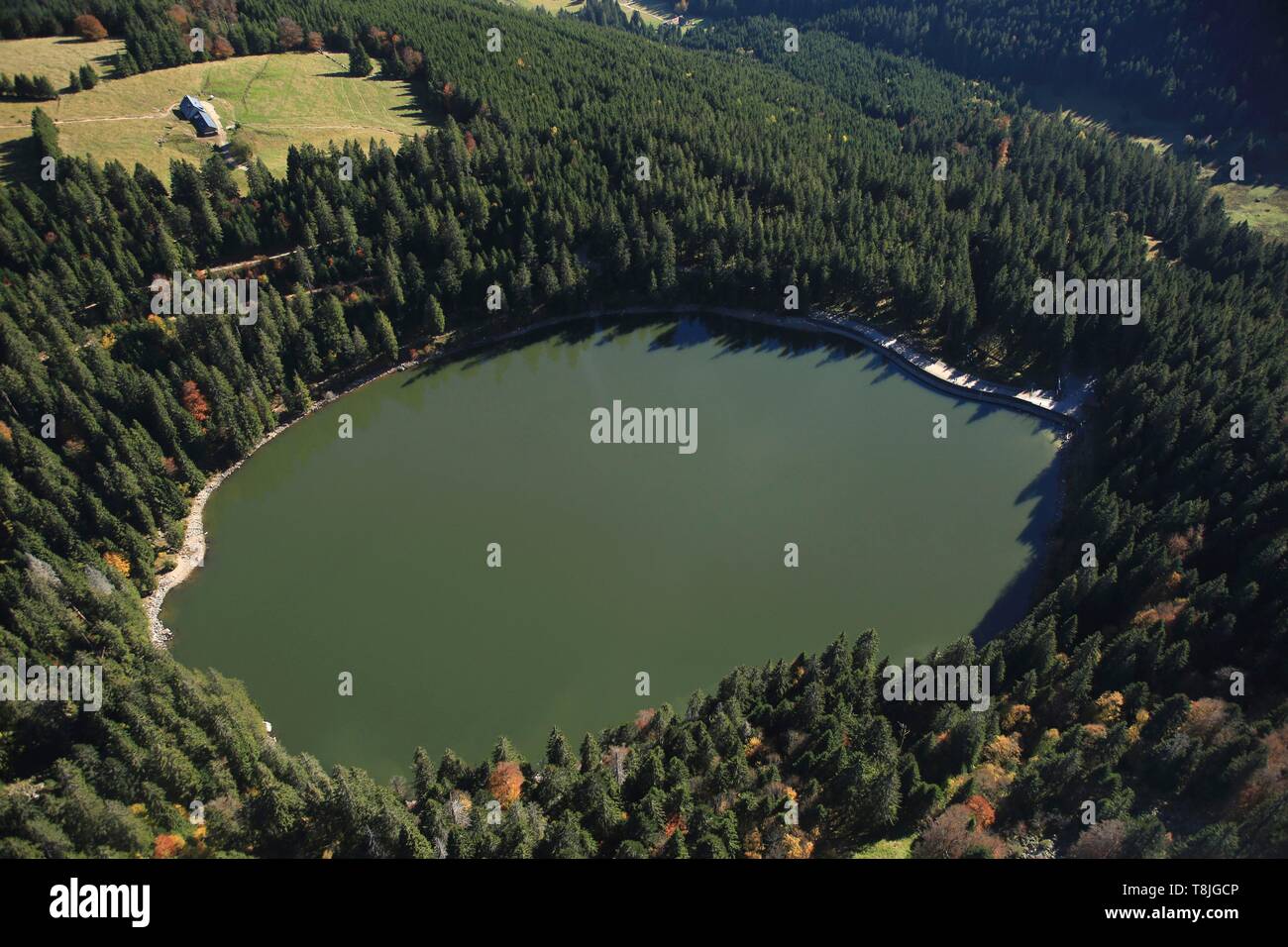 France, Haut Rhin, Lake Green or Lake Soultzeren is a small lake on the ...