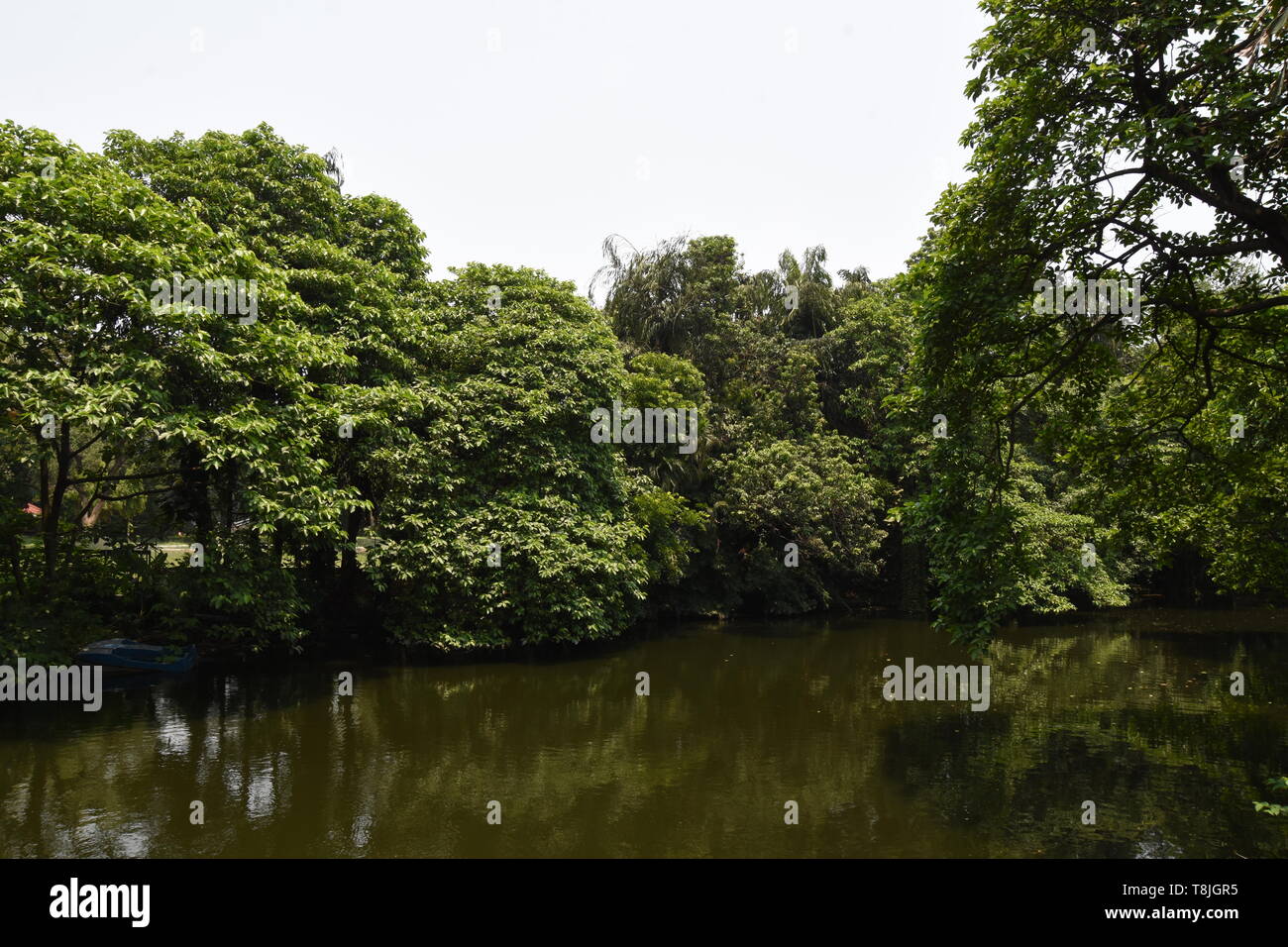 Alipore zoological garden hi-res stock photography and images - Alamy