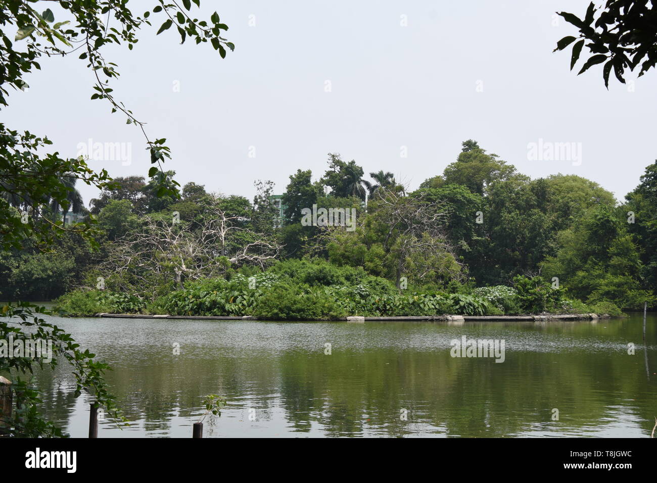 Lake of the Alipore Zoological Garden in Kolkata, India Stock Photo - Alamy