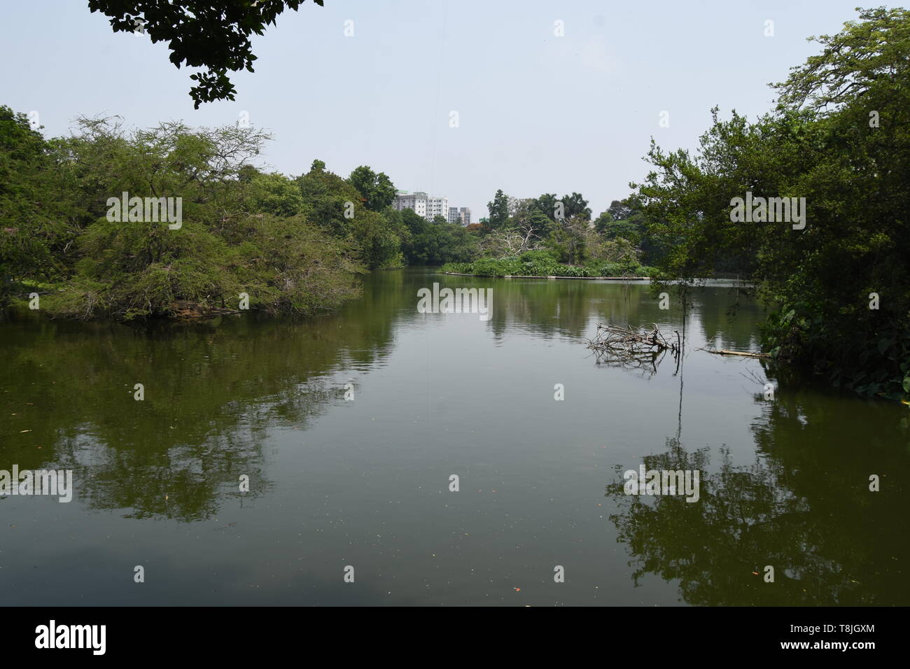 Alipore zoological garden hi-res stock photography and images - Alamy