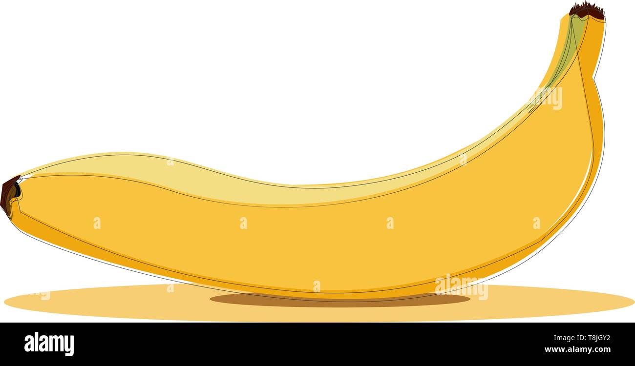 An illustration of a yellow banana, vector, color drawing or ...