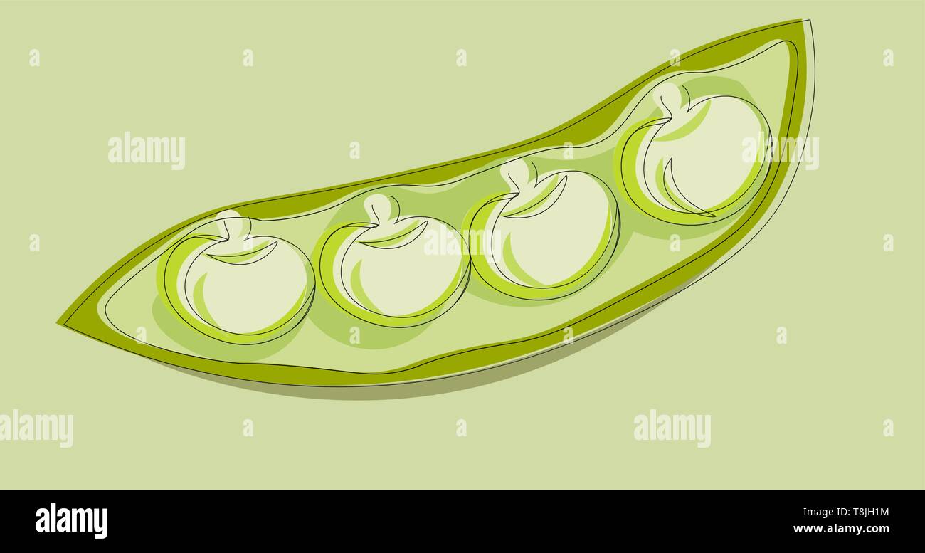 Pea pod vector vectors hi-res stock photography and images - Alamy
