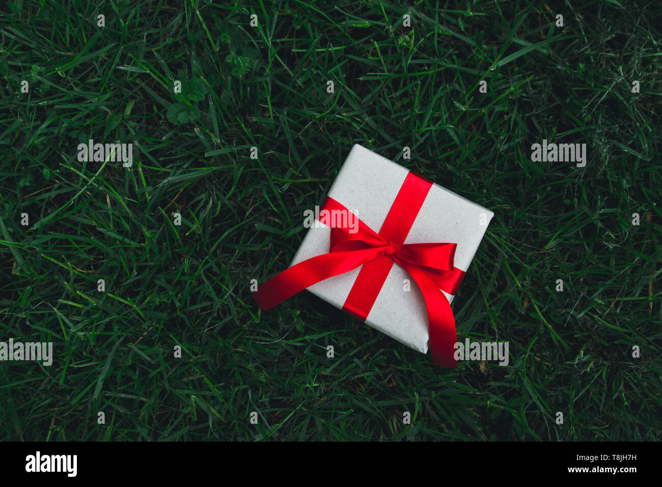 Red little gift box on spring green grass lawn background, above view ...
