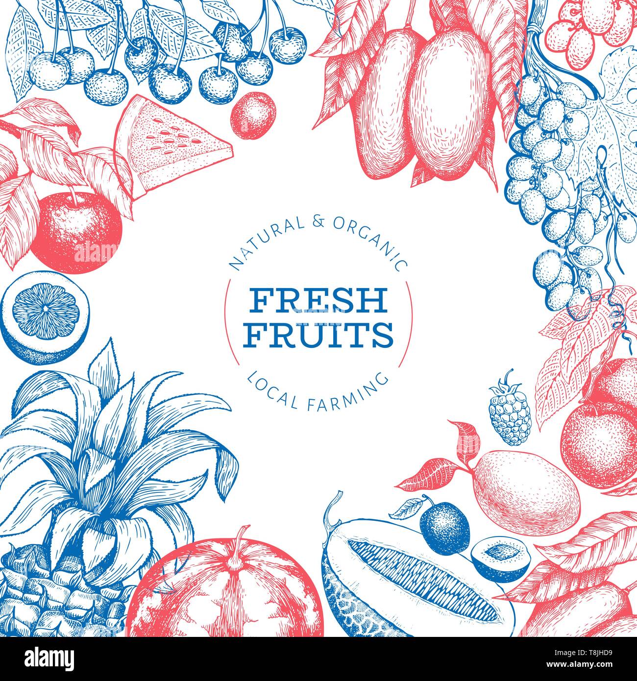 Fruits and berries design template. Hand drawn vector tropic fruits ...
