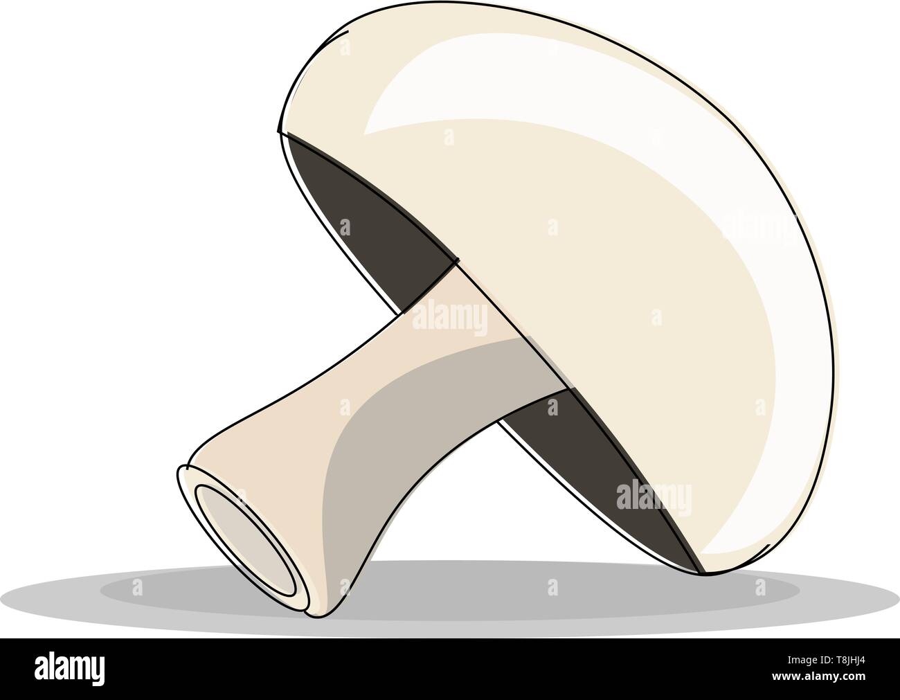 Champignon Stock Vector Images - Alamy