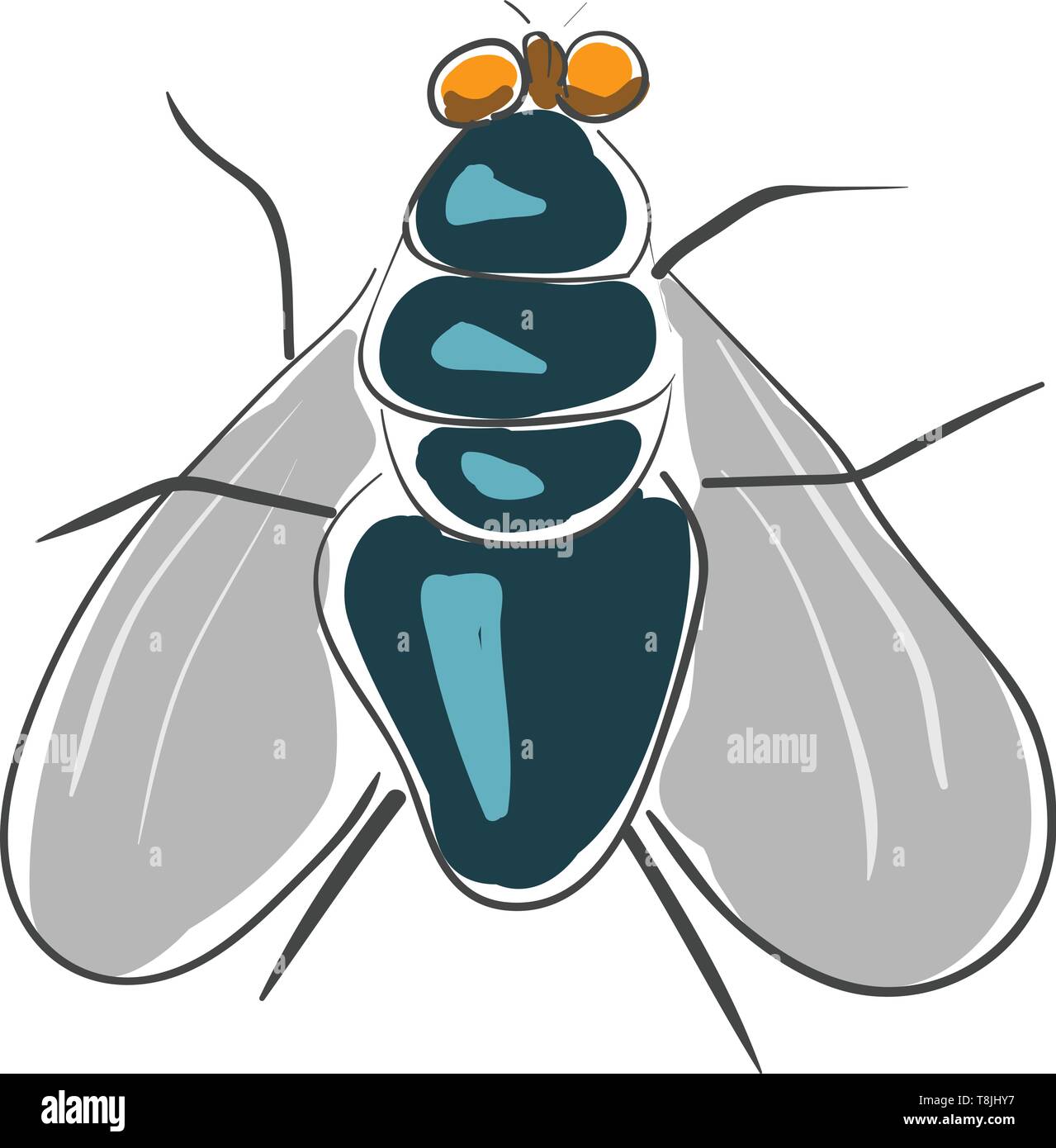 A dark blue fly with six legs, yellow eyes, and two wings, vector ...