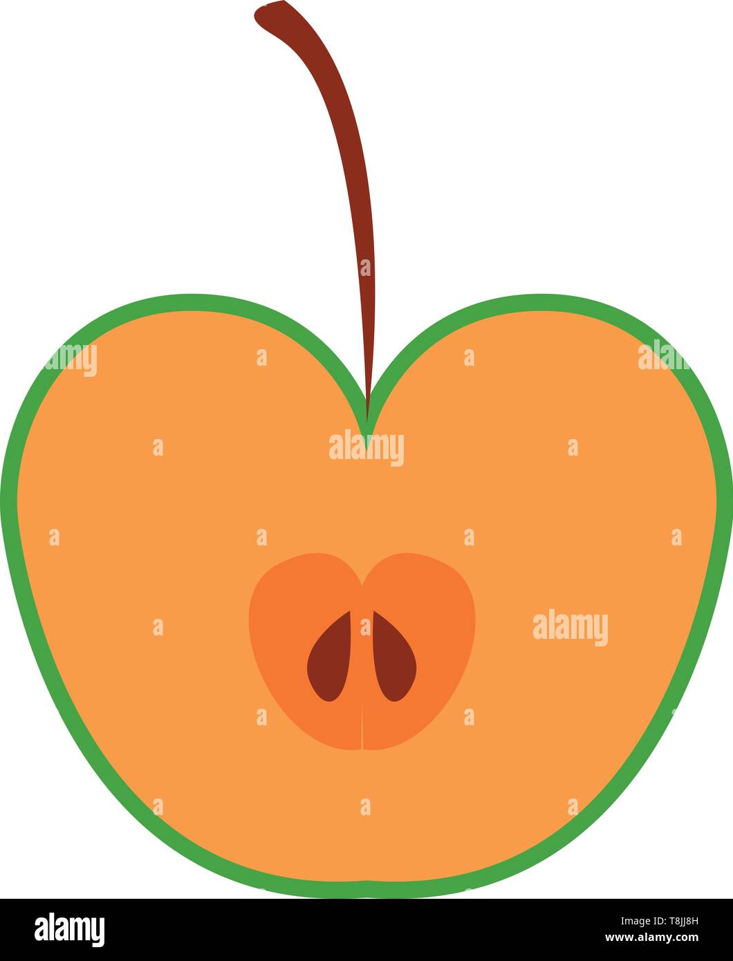 A half green apple with stem and seeds, vector, color drawing or ...