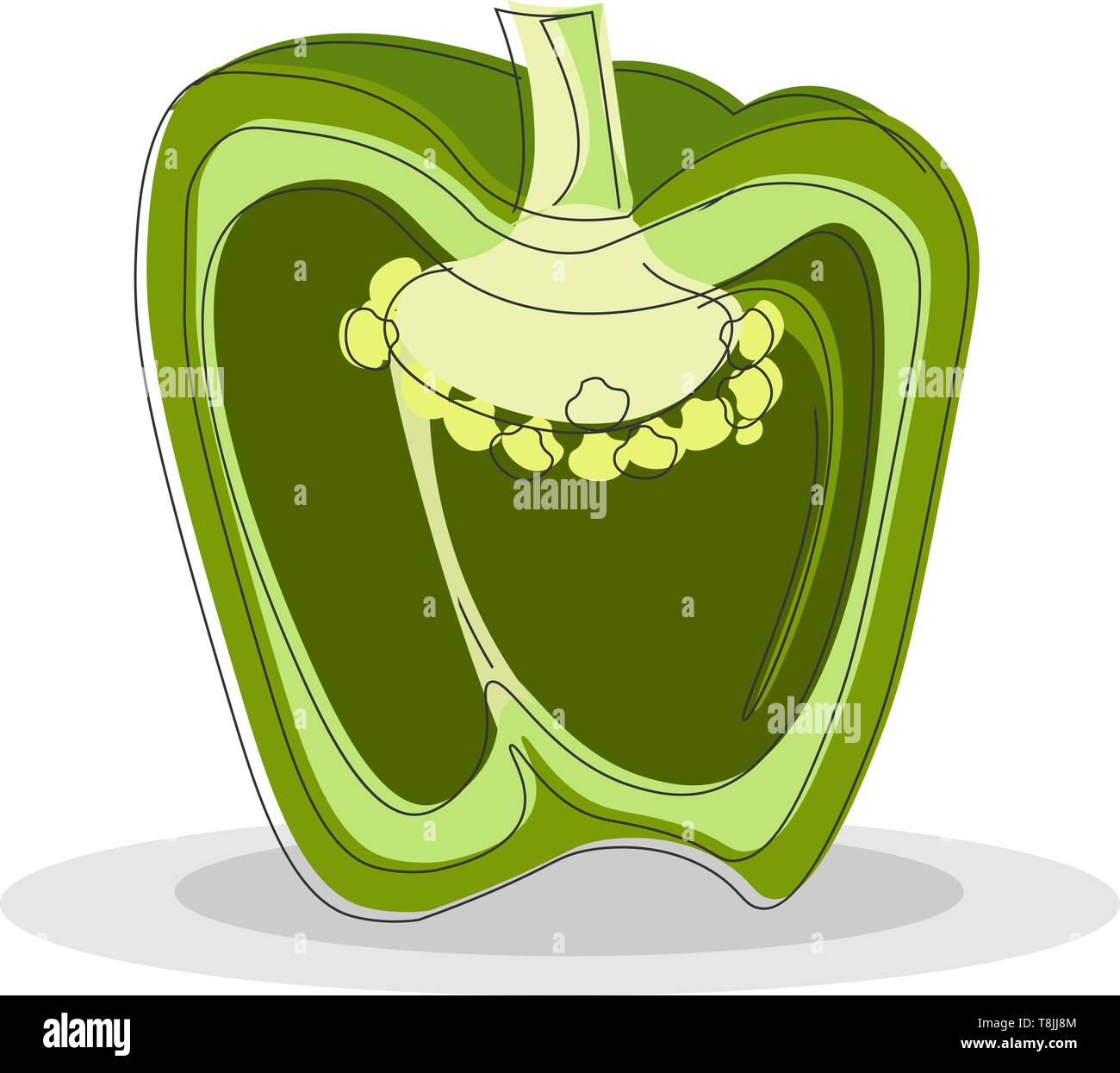 A halved of green pepper with seeds and stem, vector, color drawing or ...