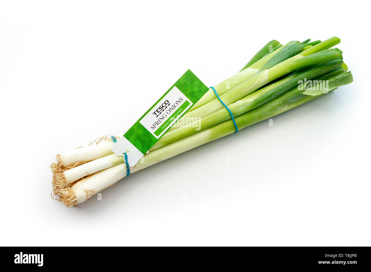 Bunch of Tesco trimmed spring onions on white background Stock Photo ...