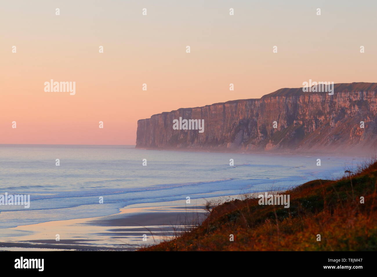 A view of Bempton Cliffs from Reighton Sands in North Yorkshire Stock ...