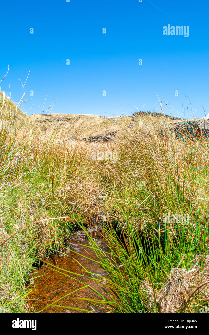 A portrait view of the Marsden Moor on a clear blue summers day Stock ...