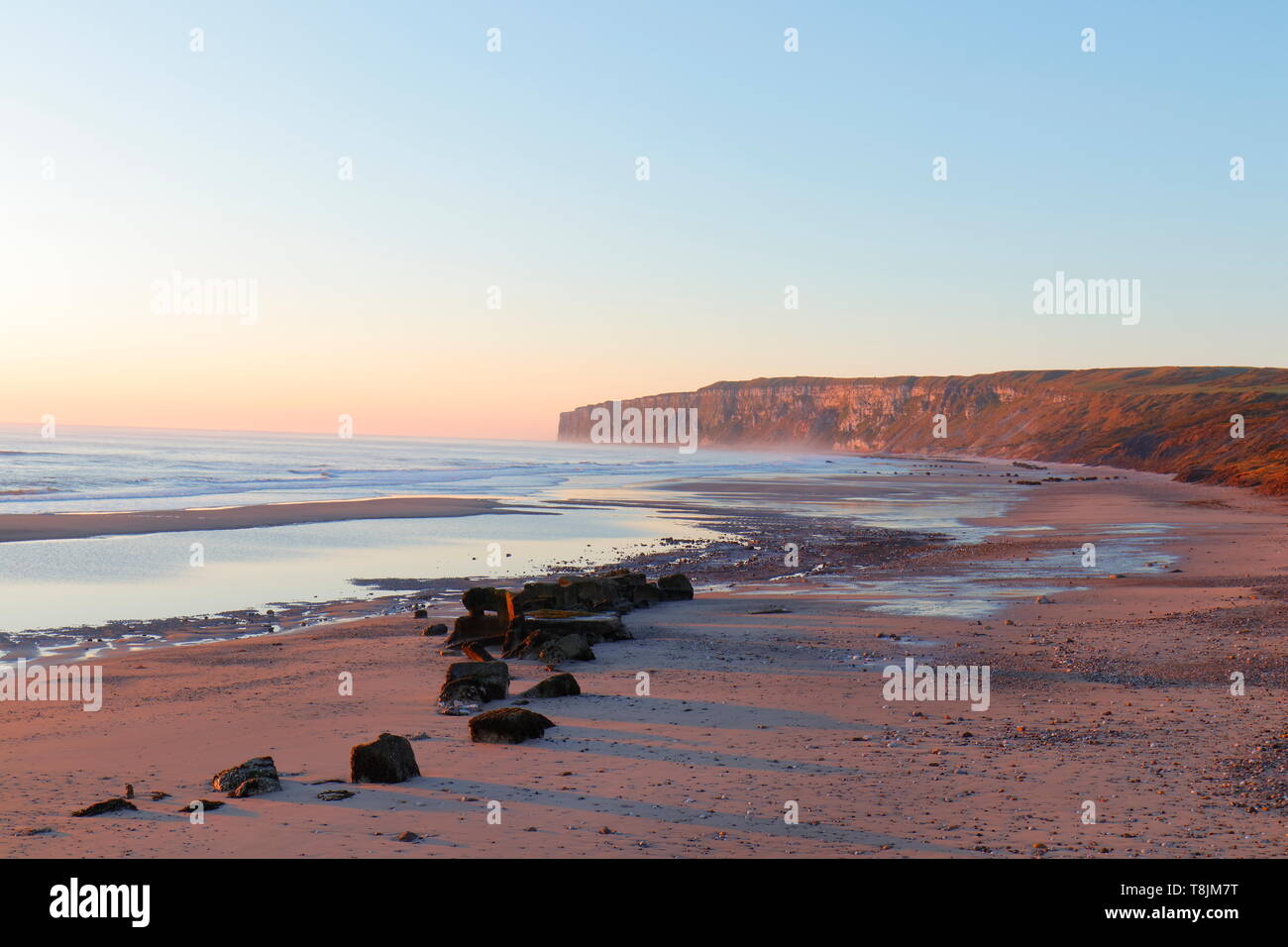 A view of Bempton Cliffs from Reighton Sands in North Yorkshire Stock ...