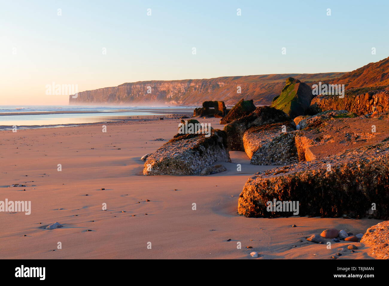 A view of Bempton Cliffs from Reighton Sands in North Yorkshire Stock ...