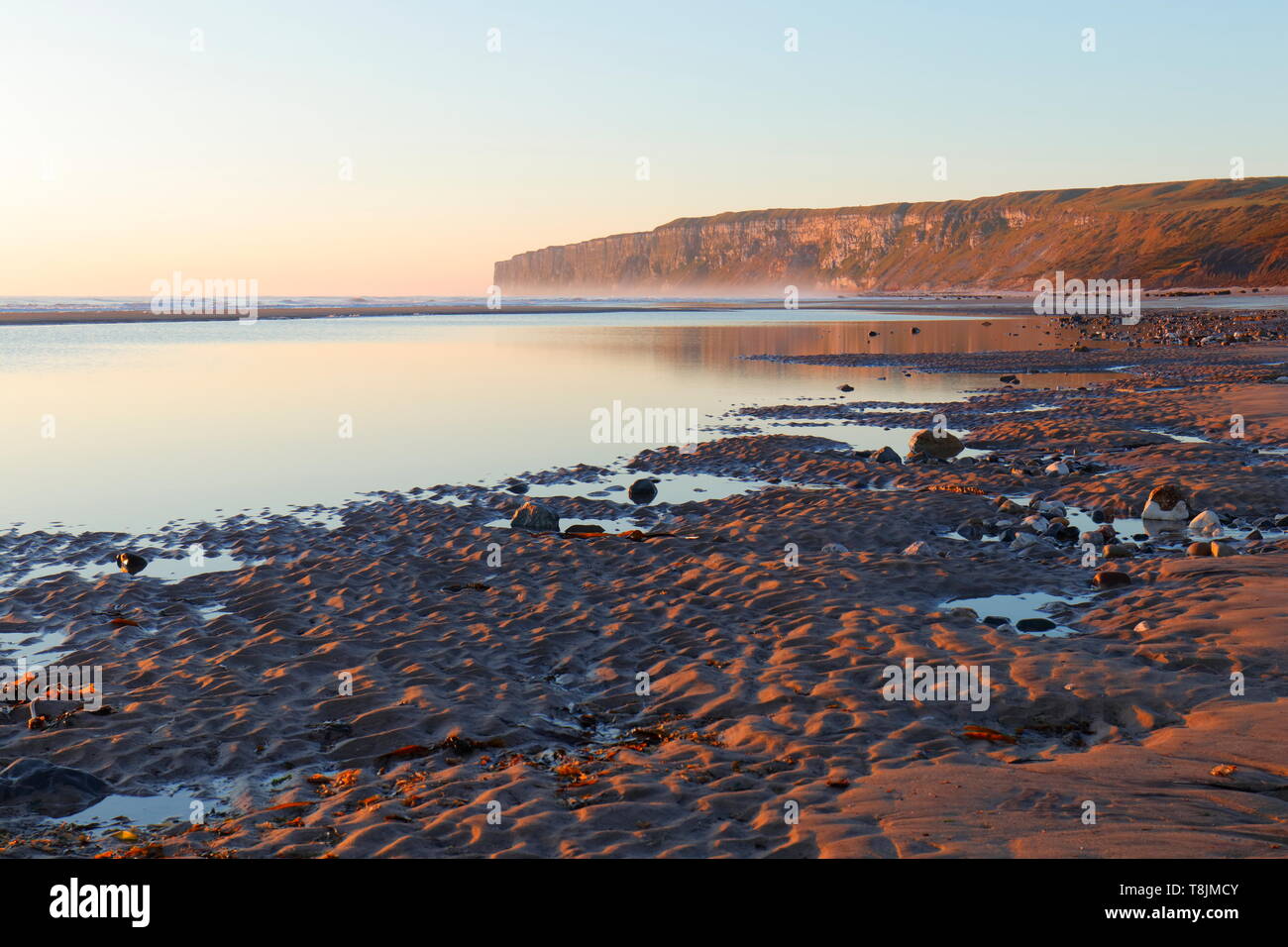 A view of Bempton Cliffs from Reighton Sands in North Yorkshire Stock ...