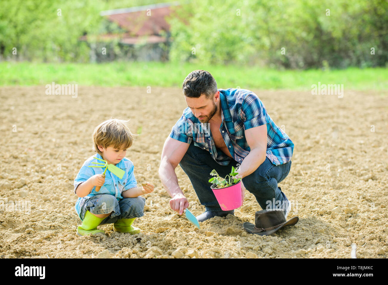 father and son planting flowers in ground. earth day. rich natural soil ...