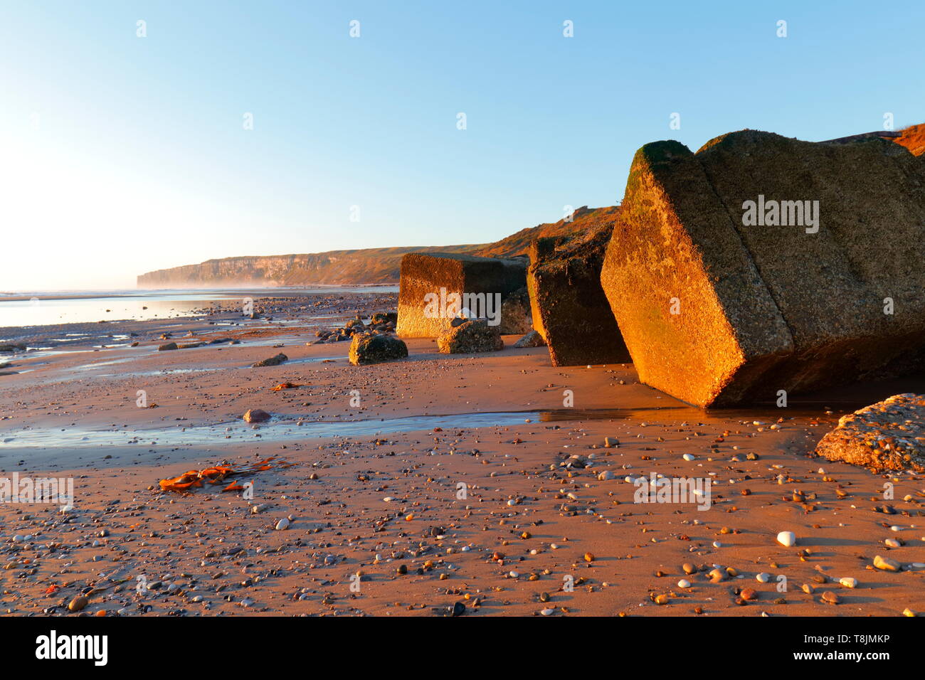 A view of Bempton Cliffs from Reighton Sands in North Yorkshire Stock ...