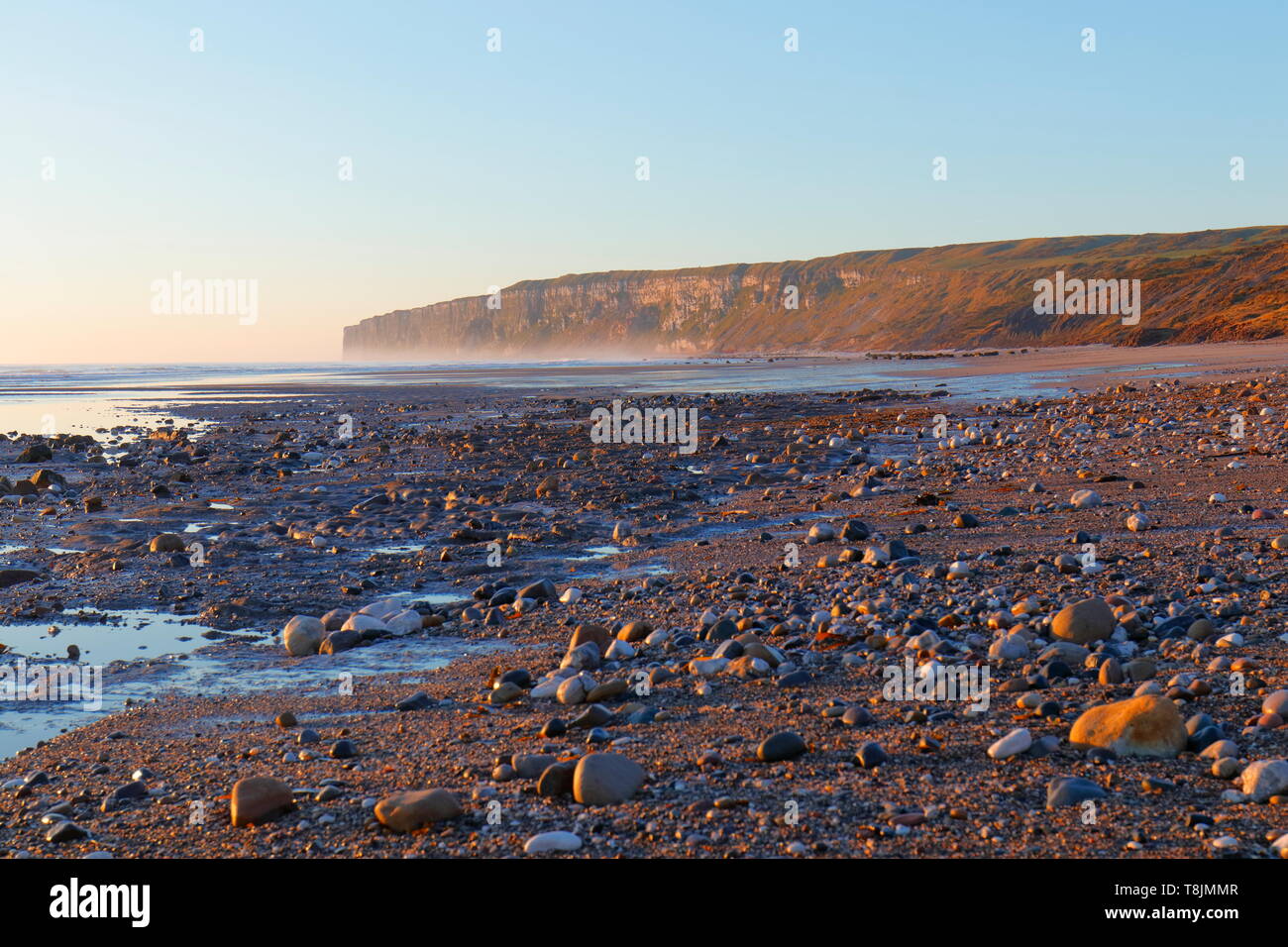 A view of Bempton Cliffs from Reighton Sands in North Yorkshire Stock ...