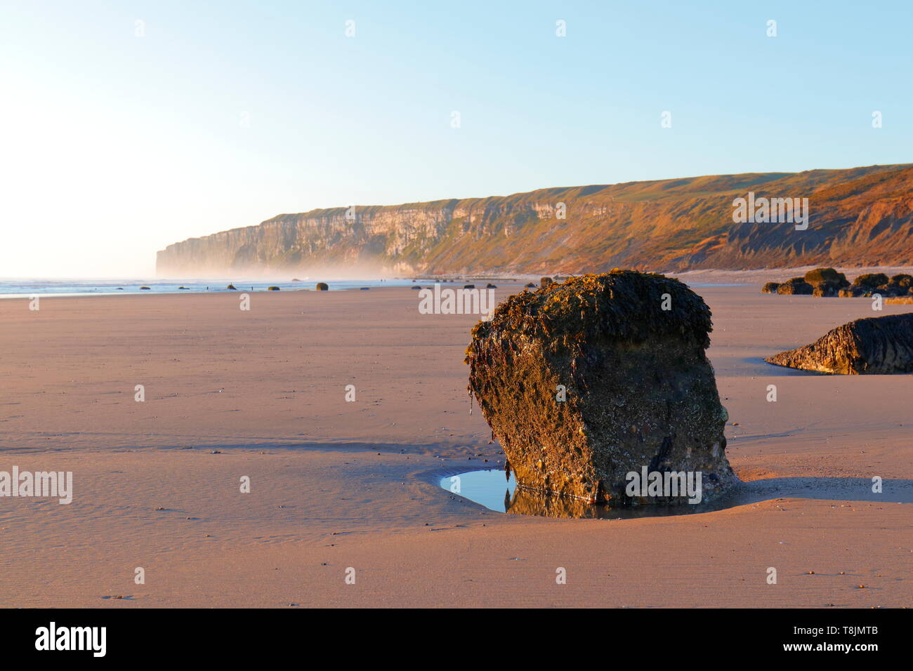 A view of Bempton Cliffs from Reighton Sands in North Yorkshire Stock ...