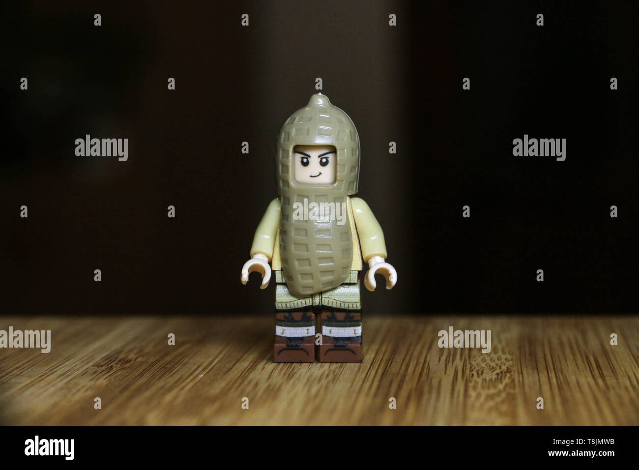 Peanuts mini toy block minifigures Stock Photo - Alamy