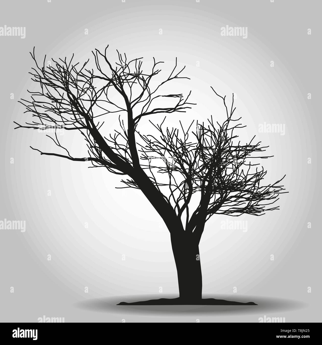 Tree icon. Forest symbol. Flat web sign on white background. Vector ...