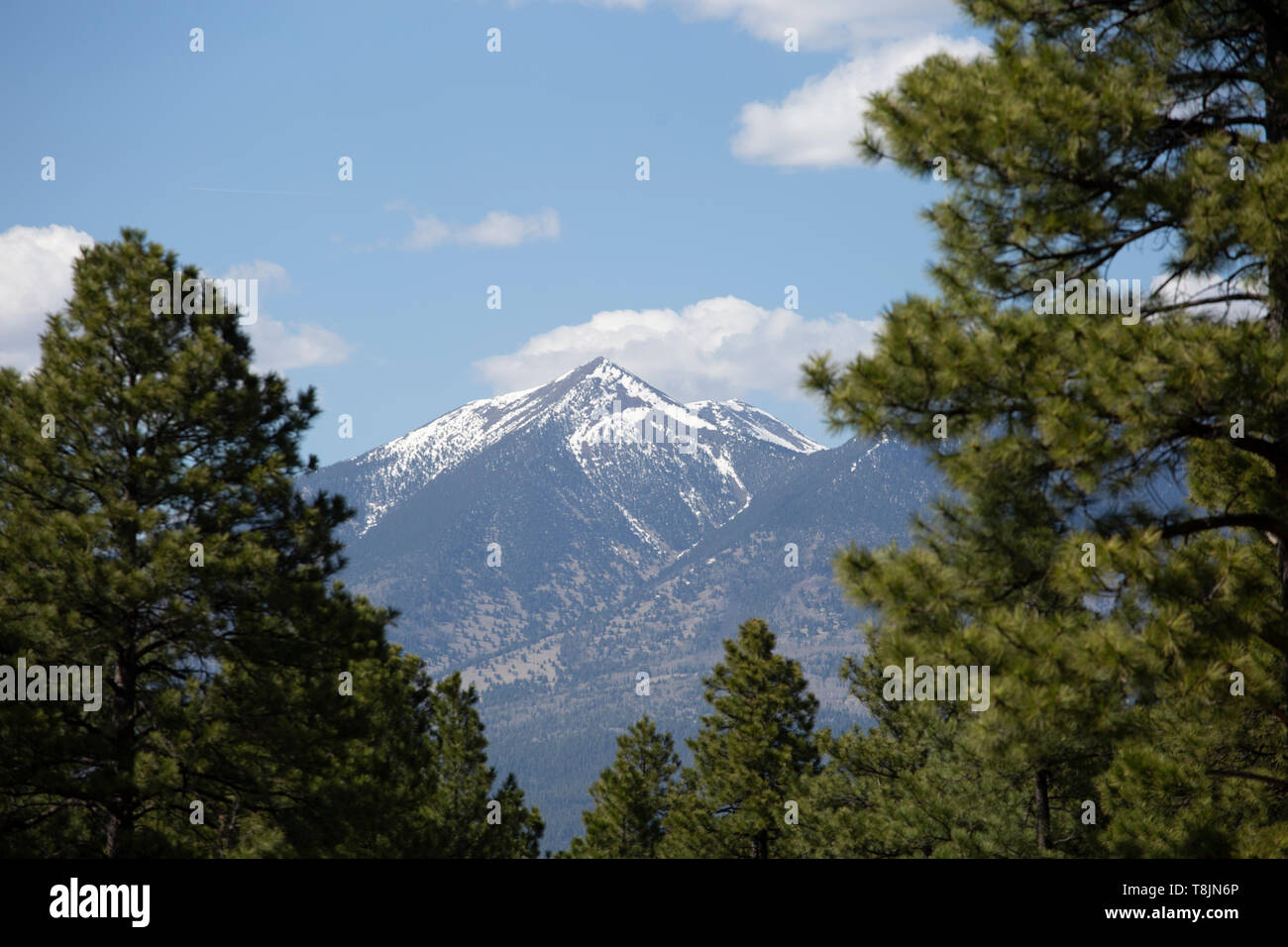 Flagstaff point hi-res stock photography and images - Alamy