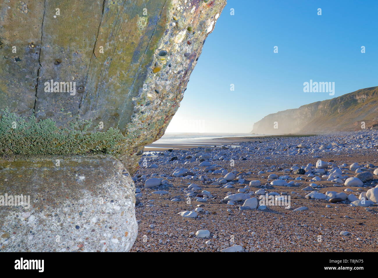 A view of Bempton Cliffs from Reighton Sands in North Yorkshire Stock ...