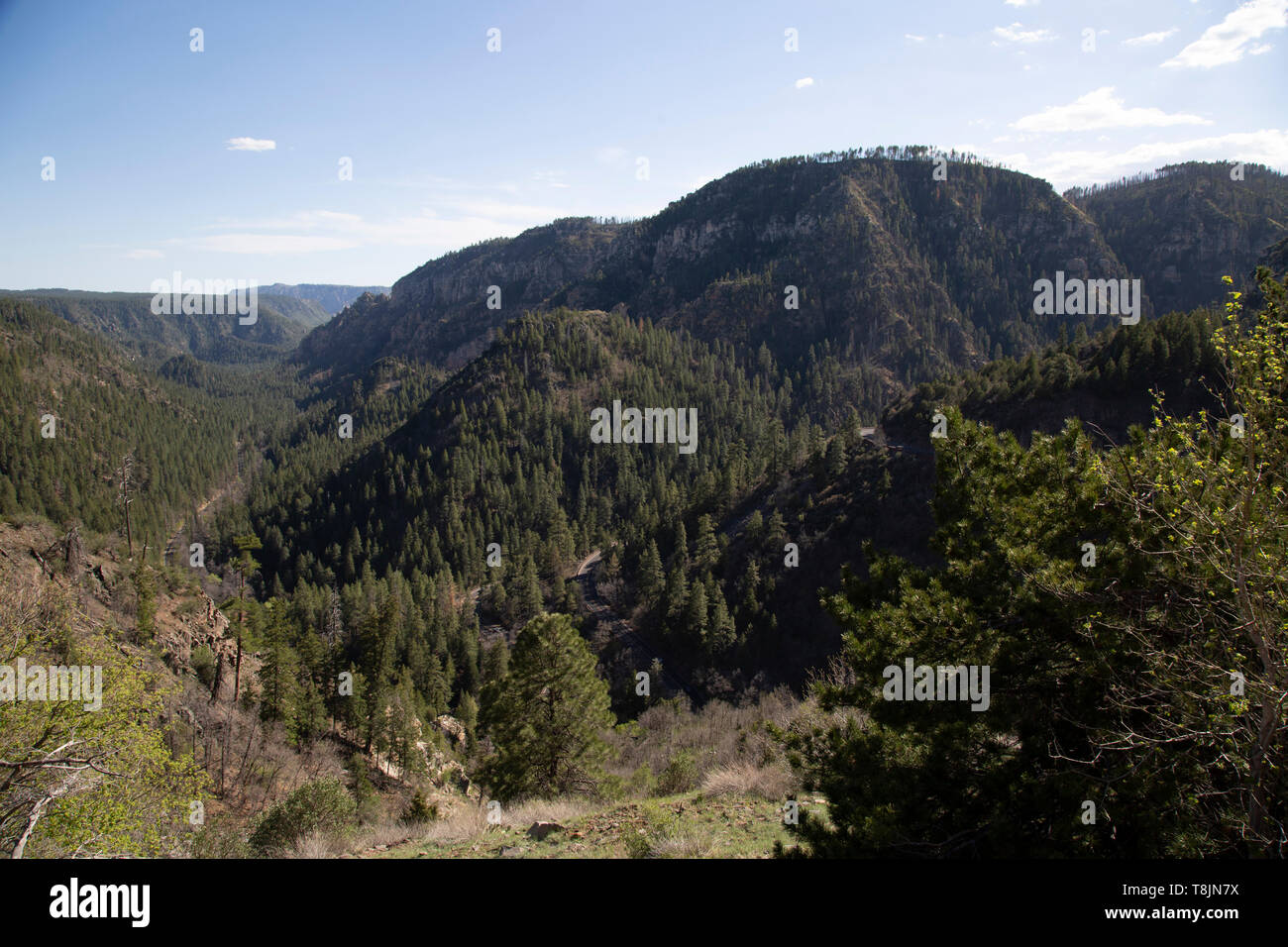 Flagstaff point hi-res stock photography and images - Alamy
