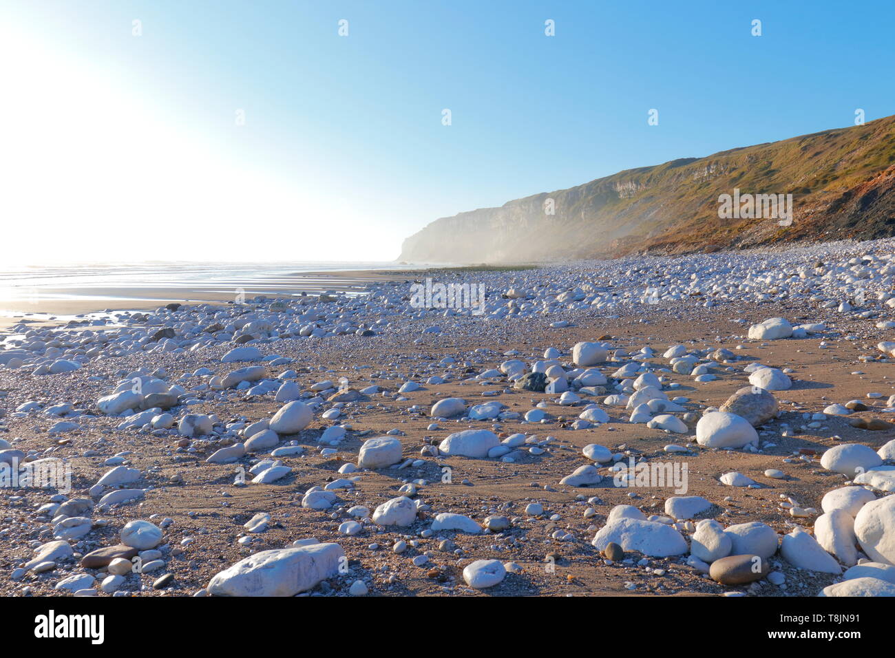 A view of Bempton Cliffs from Reighton Sands in North Yorkshire Stock ...