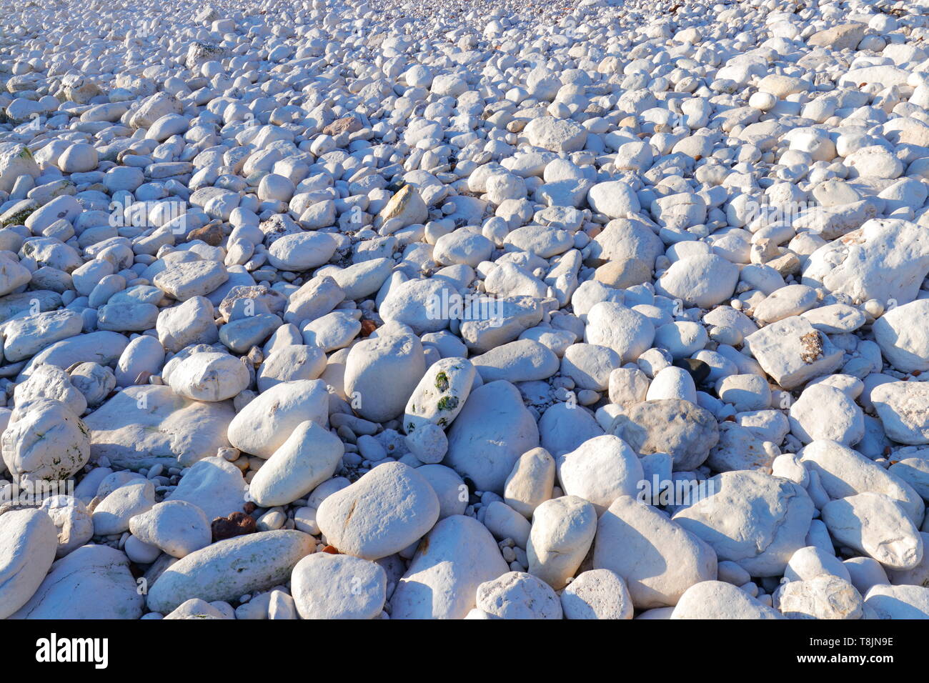 A pebbled beach in Reighton Gap, on the Yorkshire Coast Stock Photo - Alamy