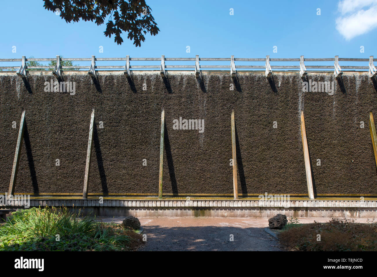 Gradierwerk hi-res stock photography and images - Alamy