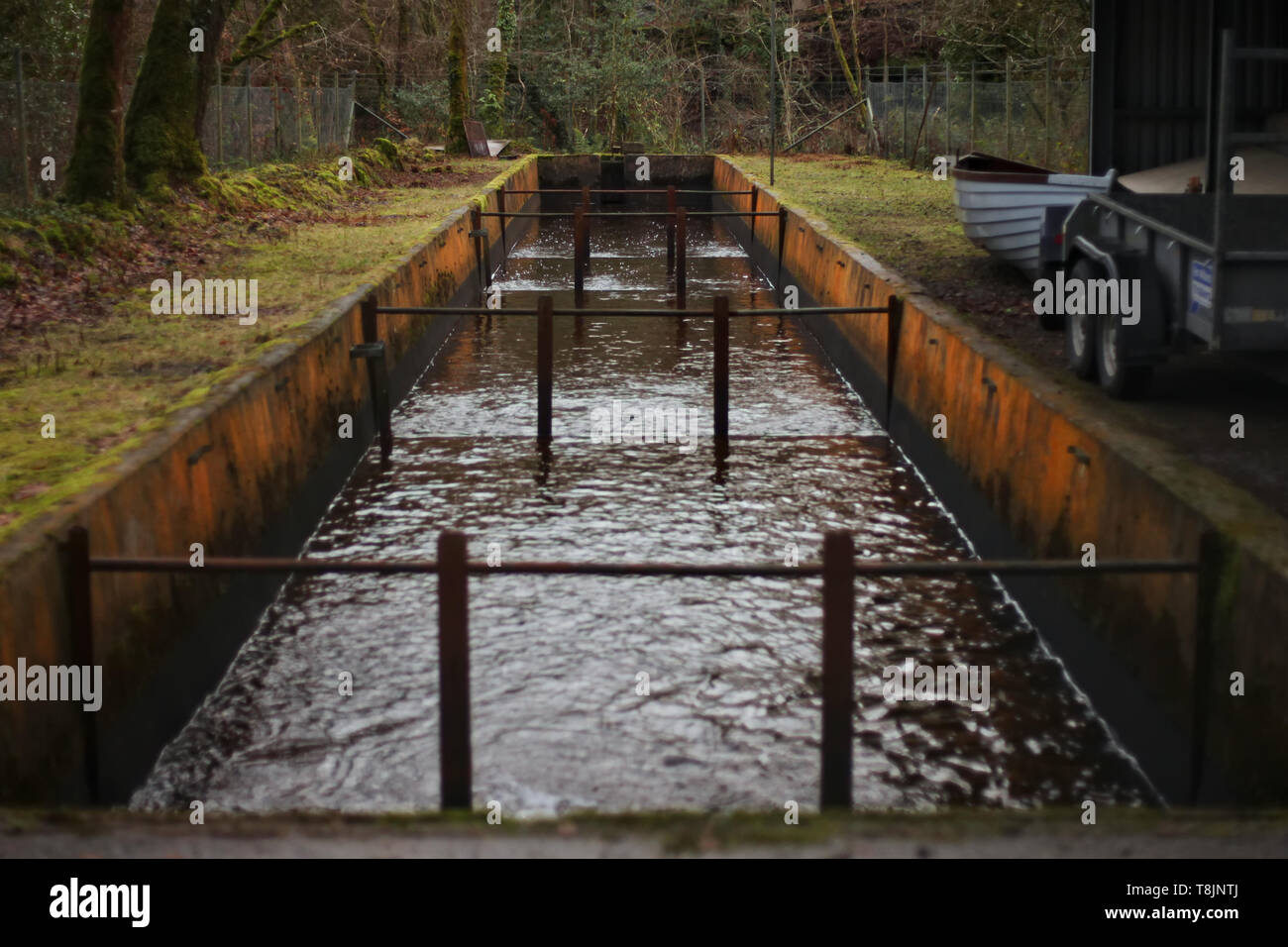 Irish Fish Hatchery Stock Photo - Alamy