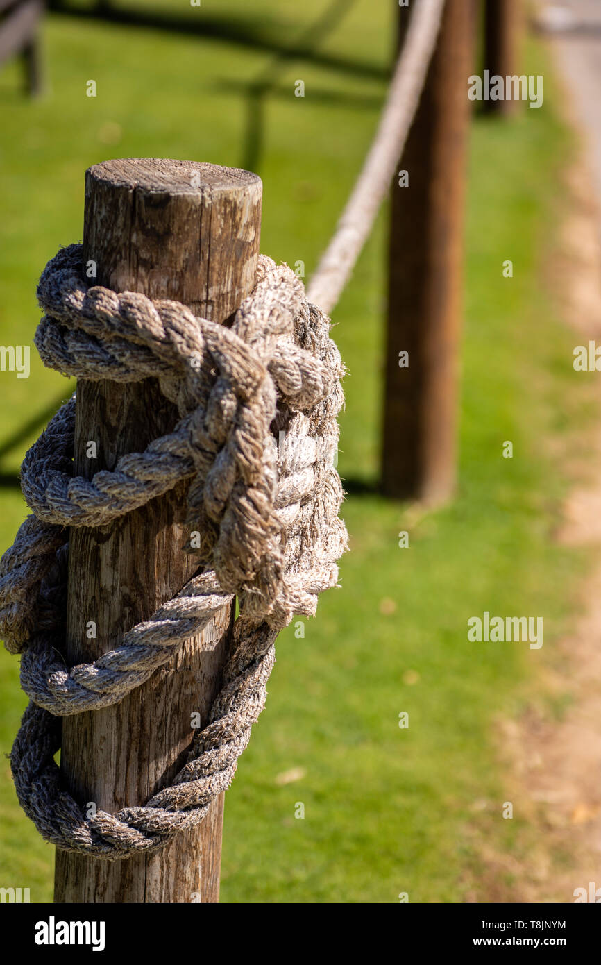 Thick rope roped roped in green grass to protect hi-res stock ...