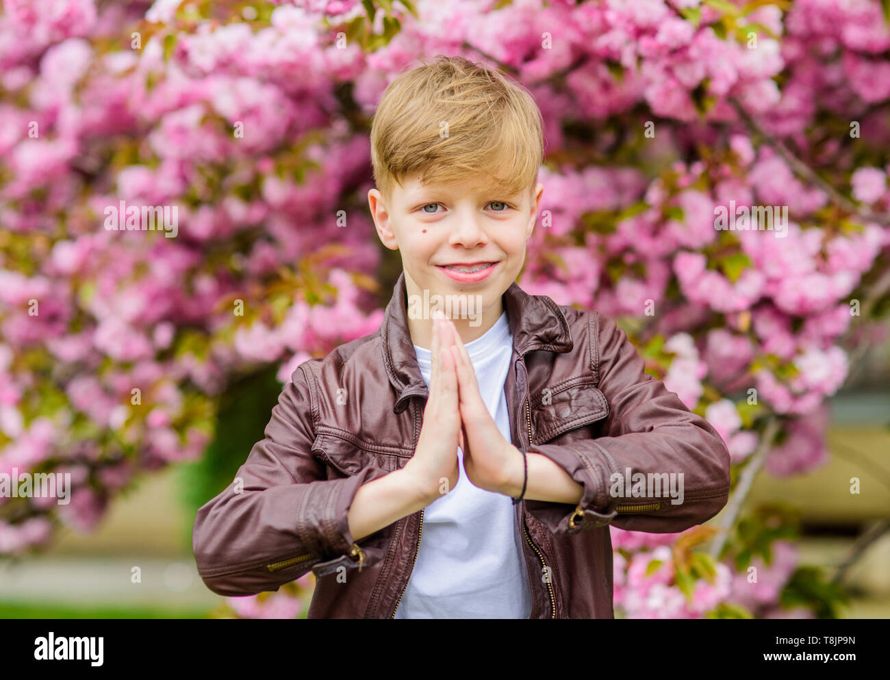 Sakura garden. Child pink flowers of sakura tree background. Guy ...