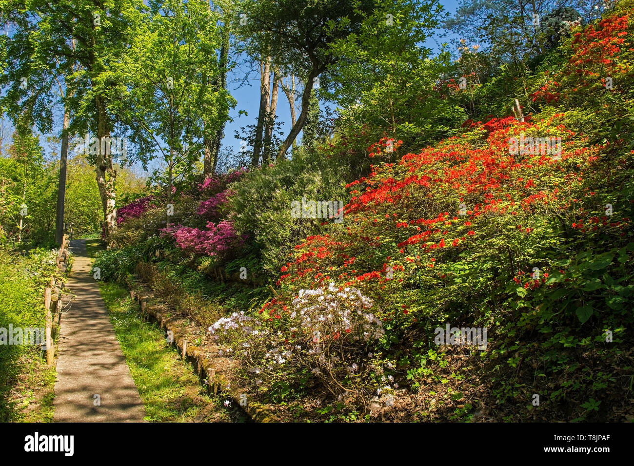 A park in the north eastern Friuli Venezia Giulia region of Italy in ...