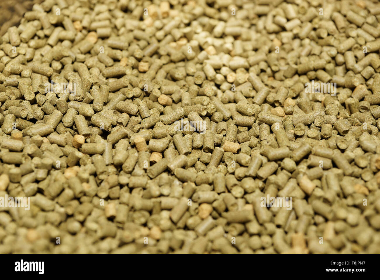 Close up beer pellet hi-res stock photography and images - Alamy