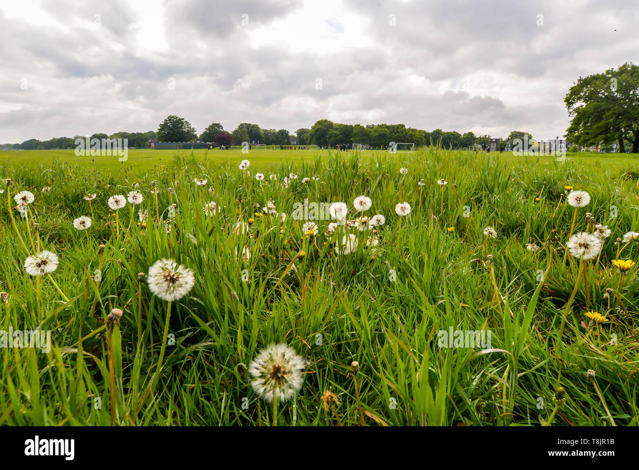 Wanstead flats hi-res stock photography and images - Alamy